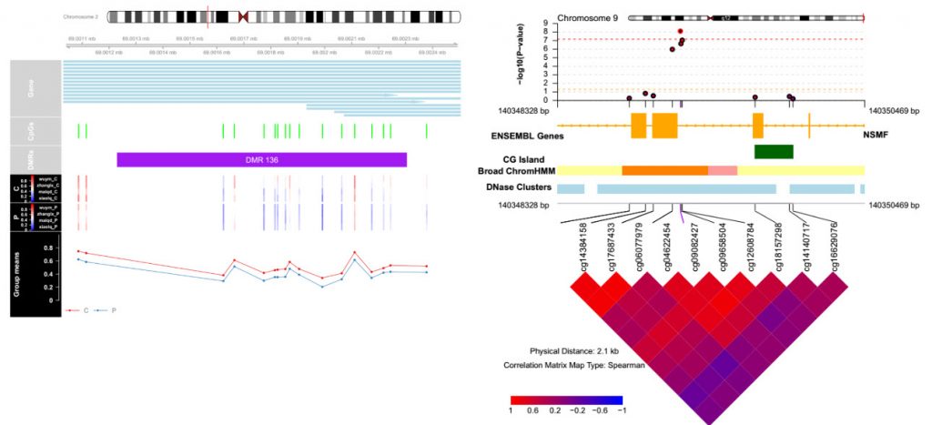 Epigenetic Aging Clock – UltraSpec Lab