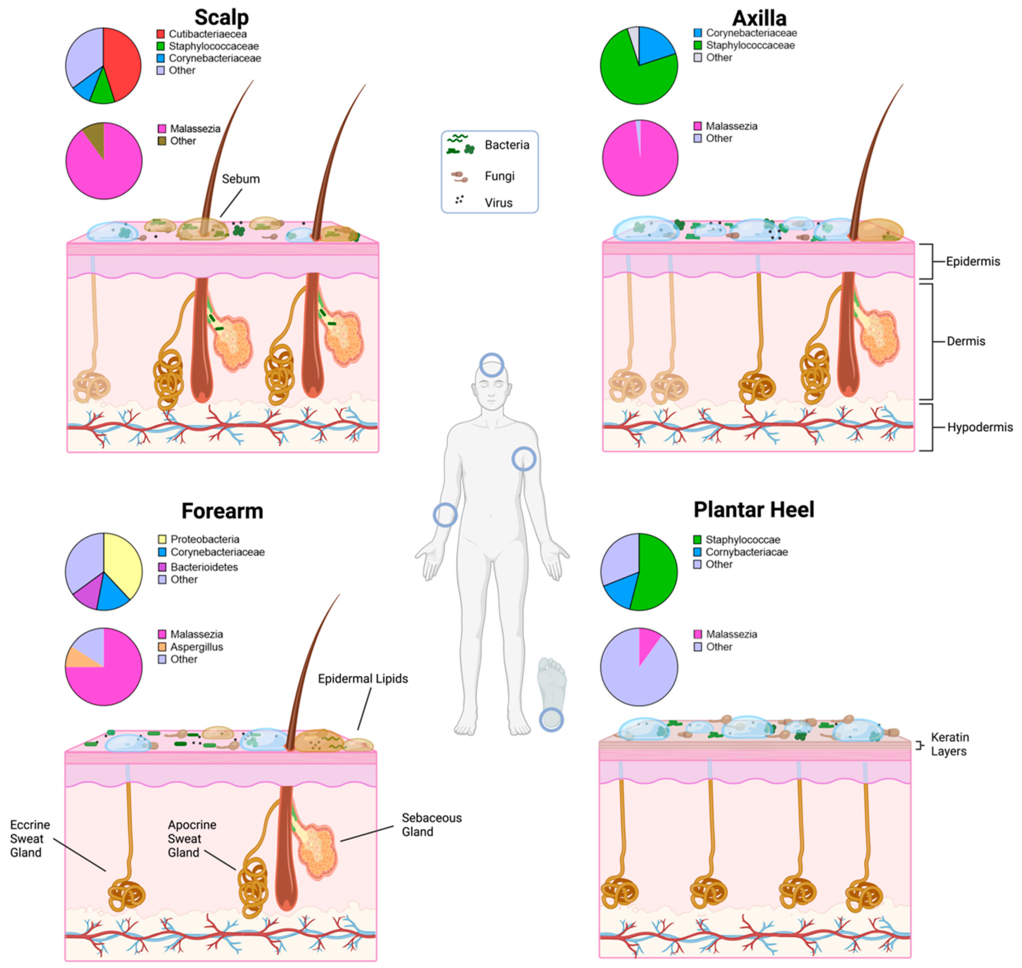 MarineMembra Fusion – UltraSpec Lab